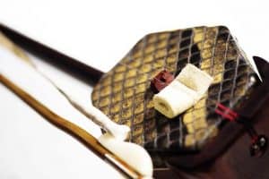 Eight Tones Music School | Chinese Musical Instruments | Singapore